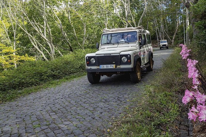 Nuns Valley & Sea Cliff - Half Day Jeep Tours - Feedback and Reviews