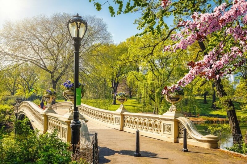 NYC: Central Park Pedicab Highlights Tour - The Sum Up: Is This Tour Right for You?