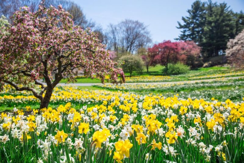 NYC: New York Botanical Garden Pass with Orchid Show Option - The Sum Up: Is It Worth It?