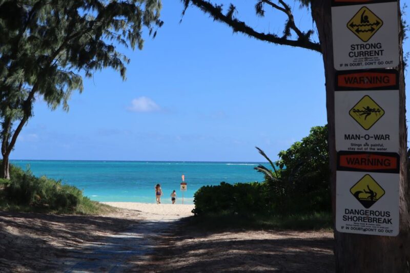Oahu: Active Circle Island Tour - Practical Considerations