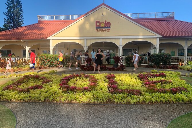 Oahu Allstar Circle Island Tour: Dole, Turtles. Blowhole, Fun - Customer Feedback and Insights