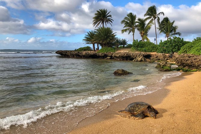 Oahu Island Photography Tour - Making the Most of Your Photography Experience