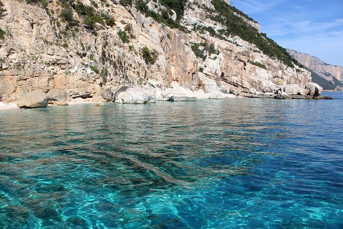 One Day Tour in Rubber Dinghy in the Gulf of Orosei With Skipper - What to Expect