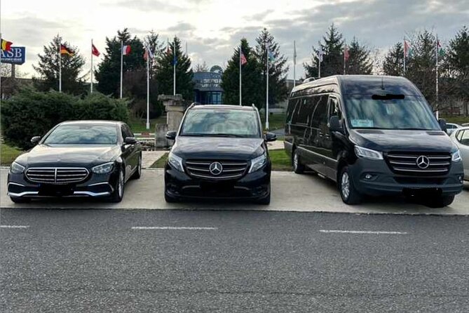 One Way Private Transfer From Sabiha Gokcen and Istanbul Airport - Common Issues and How to Avoid Them