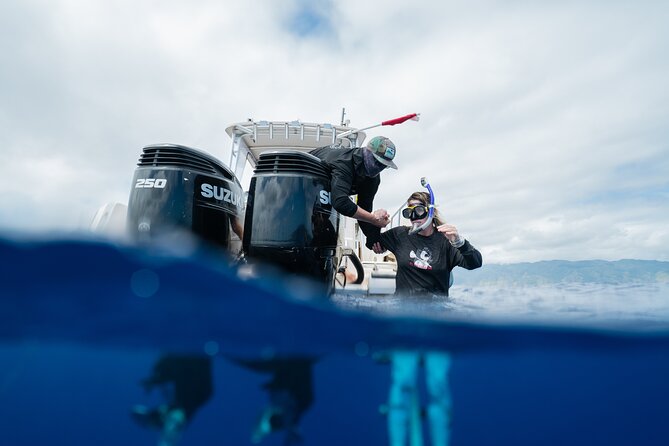 Open Water Shark Dive - Highlights of the Dive