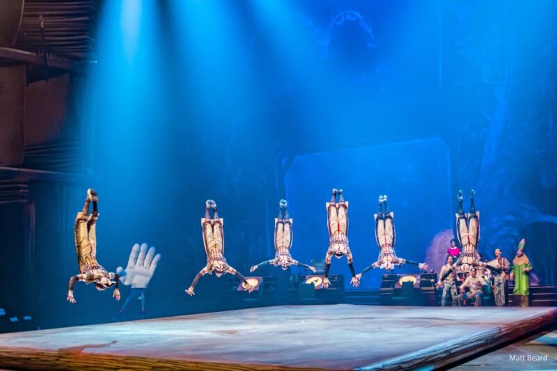 Orlando: "Drawn to Life" Cirque du Soleil Entry Pass - Final Thoughts