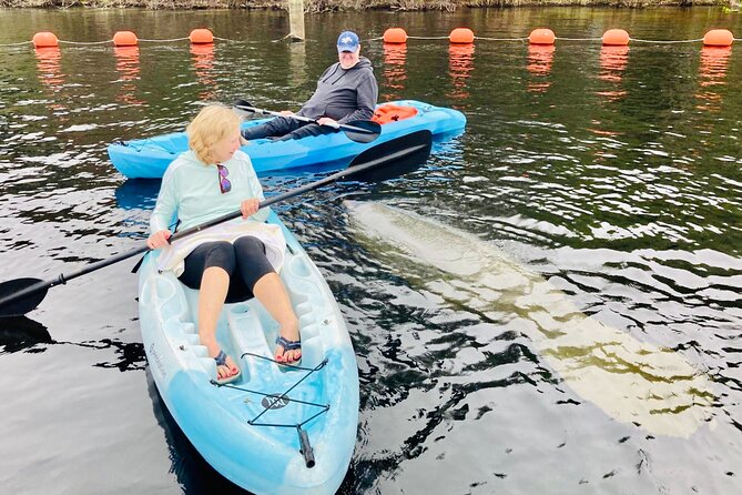Orlando Manatee and Natural Spring Adventure Tour at Blue Springs - Customer Feedback and Experiences