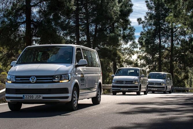 Panorama VIP Tour in Gran Canaria - Transportation and Accessibility