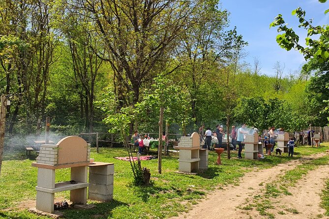 Picnic Area With Barbecue Equipment in Capranica (VT) - What to Expect