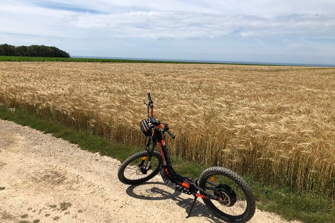 Pleasure Ride on an All-Terrain Electric Scooter - Reviewing Traveler Feedback and Ratings