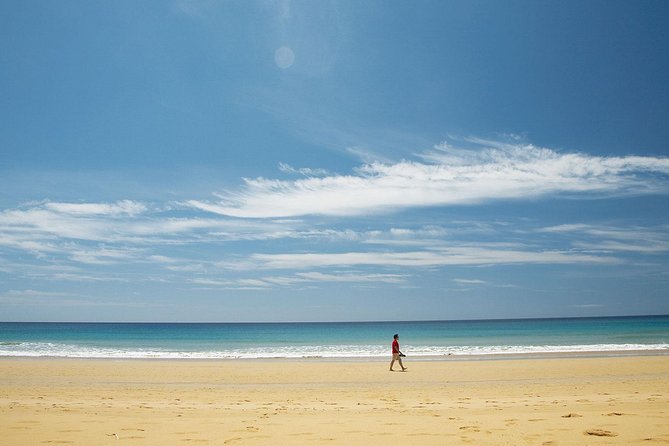 Porto Santo One-Day Cruise and Tour - Tips for a Memorable Experience