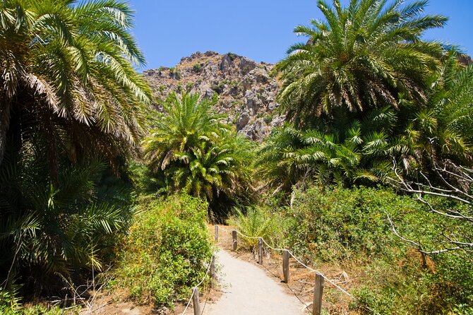 Preveli Palm Beach Boat Cruise & Rethymnon Town From Heraklion - Exploring Preveli Palm Beach