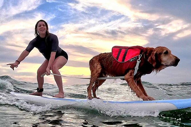 Private 1-On-1 Surf Lesson With Videos and Photos - Booking Your Private Surf Lesson