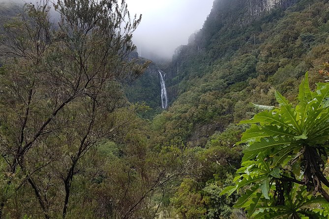 Private Guided Walk Levada 25 Fontes - Tips for a Great Hiking Experience