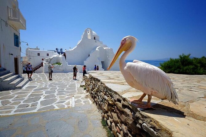 Private Half-Day Mykonos Insider Tour With Pick up - Booking and Cancellation Policies