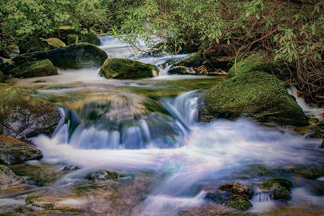 Private Luxury Full-Day Ring of Kerry Tour From Killarney - Knowledgeable and Accommodating Guide