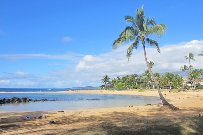 Private Luxury Tour of Kauai: South & West Shores - Discovering Waimea Canyon