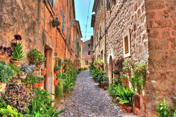 Private Shore Excursion to Valldemossa and Palma De Mallorca - Inclusions and Logistics