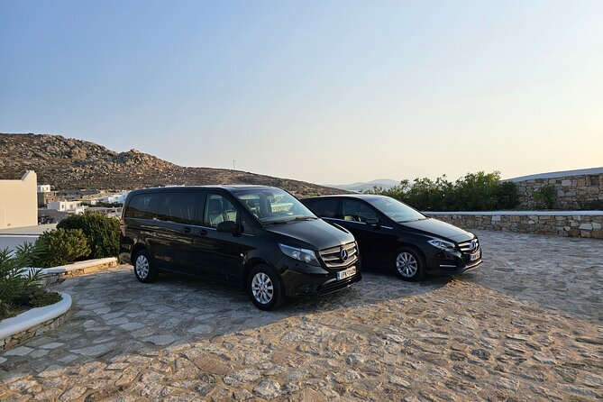 Private Tour | Mykonos Highlights & Locals Choice - Why Choose a Private Tour in Mykonos