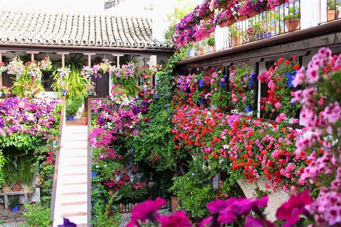Private Tourist Route in Córdoba - Exploring Córdobas Rich History