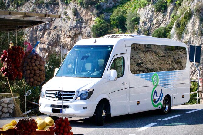 Private Transfer From Naples to Sorrento or From Sorrento to Naples - Accessibility Features