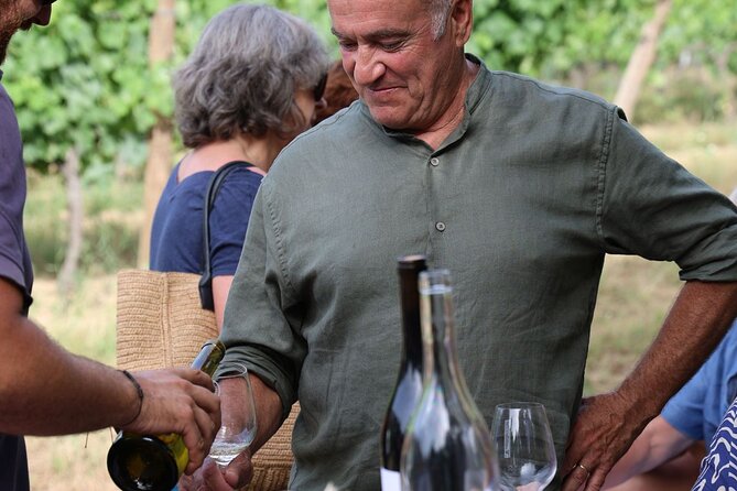 Private Wine Tasting Tour Around Ile Rousse and Calvi - Traveler Reviews and Recommendations