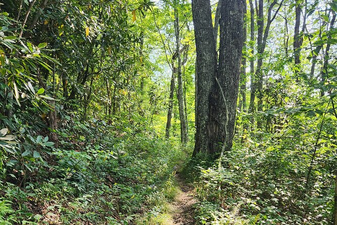 Privately Guided Half Day Hike - Customizable Adventures