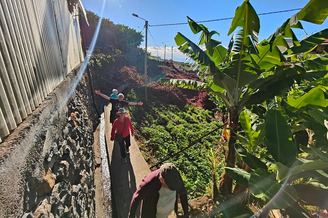 Real Life, Mountains & Sea Cliffs + Lunch + Levada Walk - 6 Hours - Tour Details and Logistics