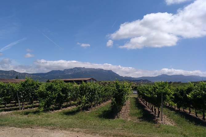 RIOJA UNCORKED - Private Enological Adventure - Since You Asked