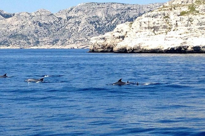 Sailing Day in the Heart of the Calanques - Ideal Travelers and Unique Highlights