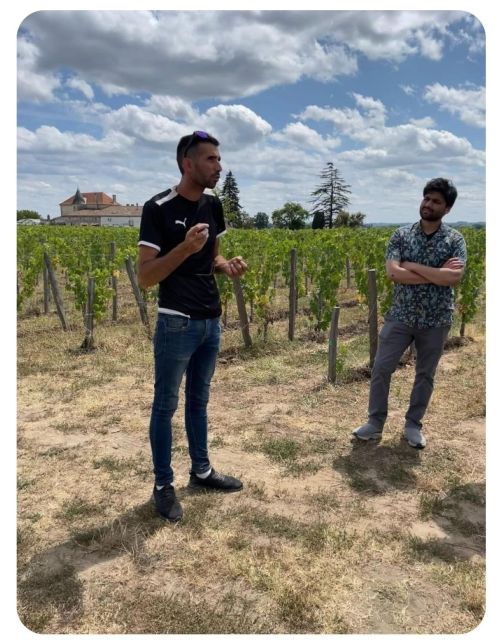Saint-Émilion: Family Vineyard Visit With Wine Tasting - Purchasing and Shipping Options