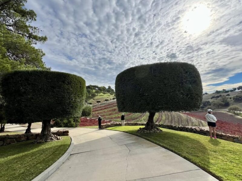 Santa Barbara: E-bike wine tour w/ transport, tasting, lunch - Frequently Asked Questions