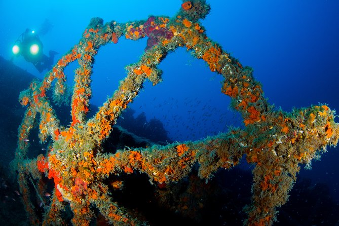 Scuba Diving in Calabria, Italy - Physical Fitness and Accessibility