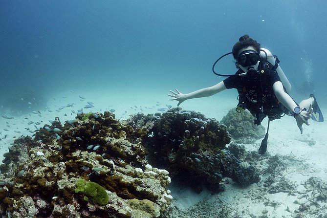 Scuba Diving in Phuket  Full-Day Trip (3 Dives, All Included) - FAQs