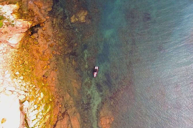 Sea Trip Along the Basque Coast, Departure From Saint-Jean-De-Luz - Recommendations for Best Experience