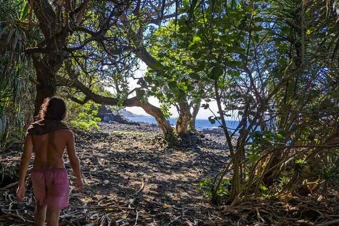 Secret Jungle Tide Pool Hike - Private - Tips for a Successful Adventure