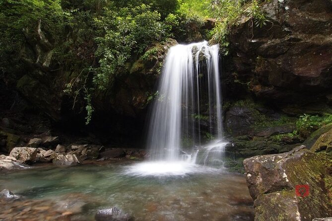 Self-Guided Audio Driving Tour in Great Smoky Mountains - Exploring the Great Smoky Mountains
