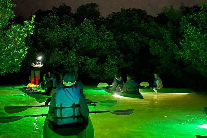 Sharkey's Glass Bottom Fish Feeding LED Night Tour in Sarasota - FAQ Section