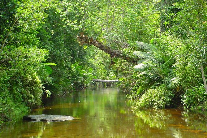 Siem Reap: Kulen Waterfall and 1000 Lingas River Private Tour - The Sum Up