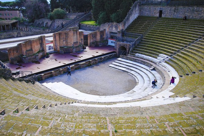 Skip-the-Line Exclusive Private Ancient Pompeii & Vesuvius Volcano Full Day Tour - Traveler Feedback and Recommendations