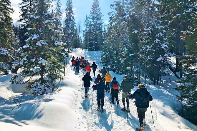 Snowshoe Tour in Winter Wonderland - Oslo - Getting to the Meeting Point