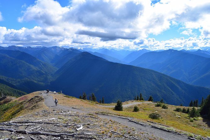 Sol Duc, Lake Crescent, and Hurricane Ridge Guided Tour in Olympic National Park - Traveler Feedback and Experience