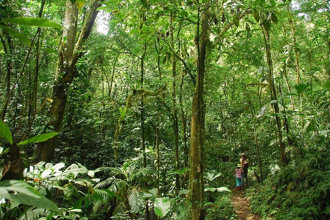 Special Private Waterfalls and Jungle Safari Tour - Customer Feedback and Ratings