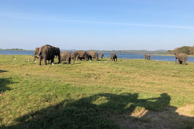 Sri Lanka Tour in 8 Days - Day 7: Relaxing on Mirissa Beach and Galle Fort