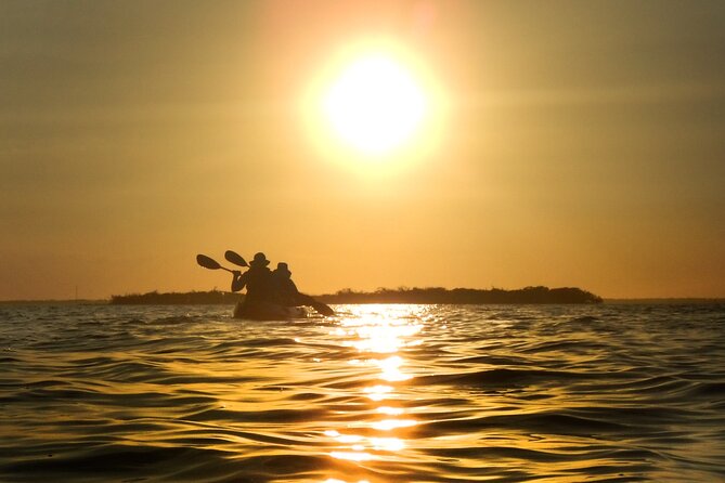 Sunset Bioluminescence Tour - What to Bring and Prepare