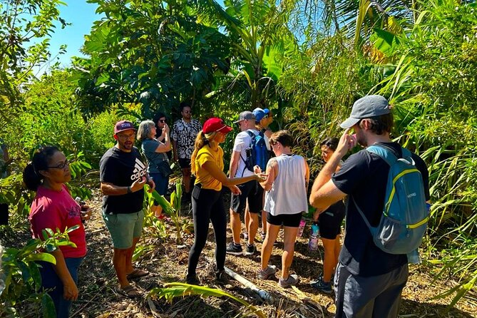 Taste of Hawaii: A Maui Farm Tour - Tips for an Enjoyable Visit