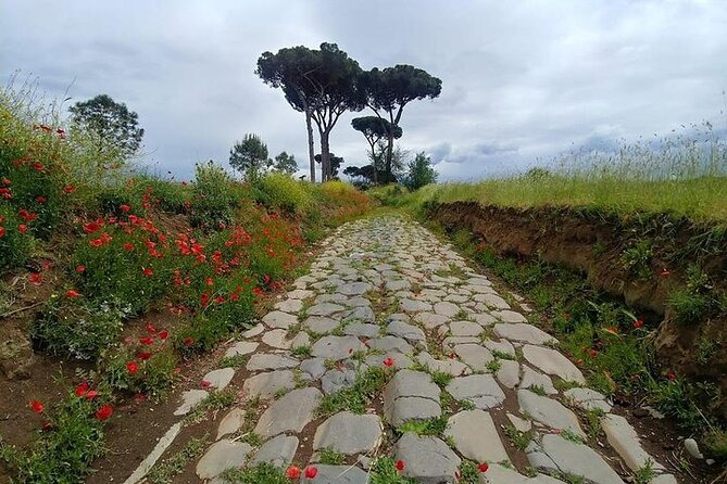 The Ancient Aqueducts of Rome - Learning About Water Supply in Ancient Rome