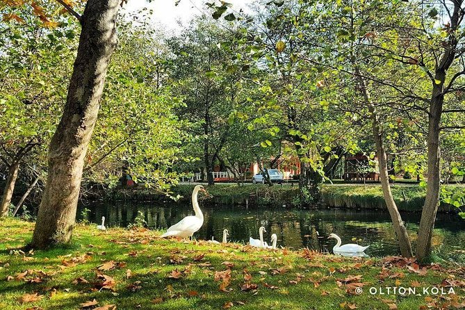 Tirana Hidden Treasures Sightseeing Tour - Traveler Testimonials and Recommendations