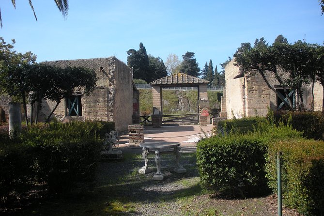 Tour in the Ruins of Herculaneum With an Archaeologist - Flexibility With Cancellation Policy