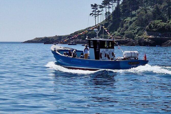 Unrivalled Coastal Tour to Saints Bay Harbour - Booking Information and Tips